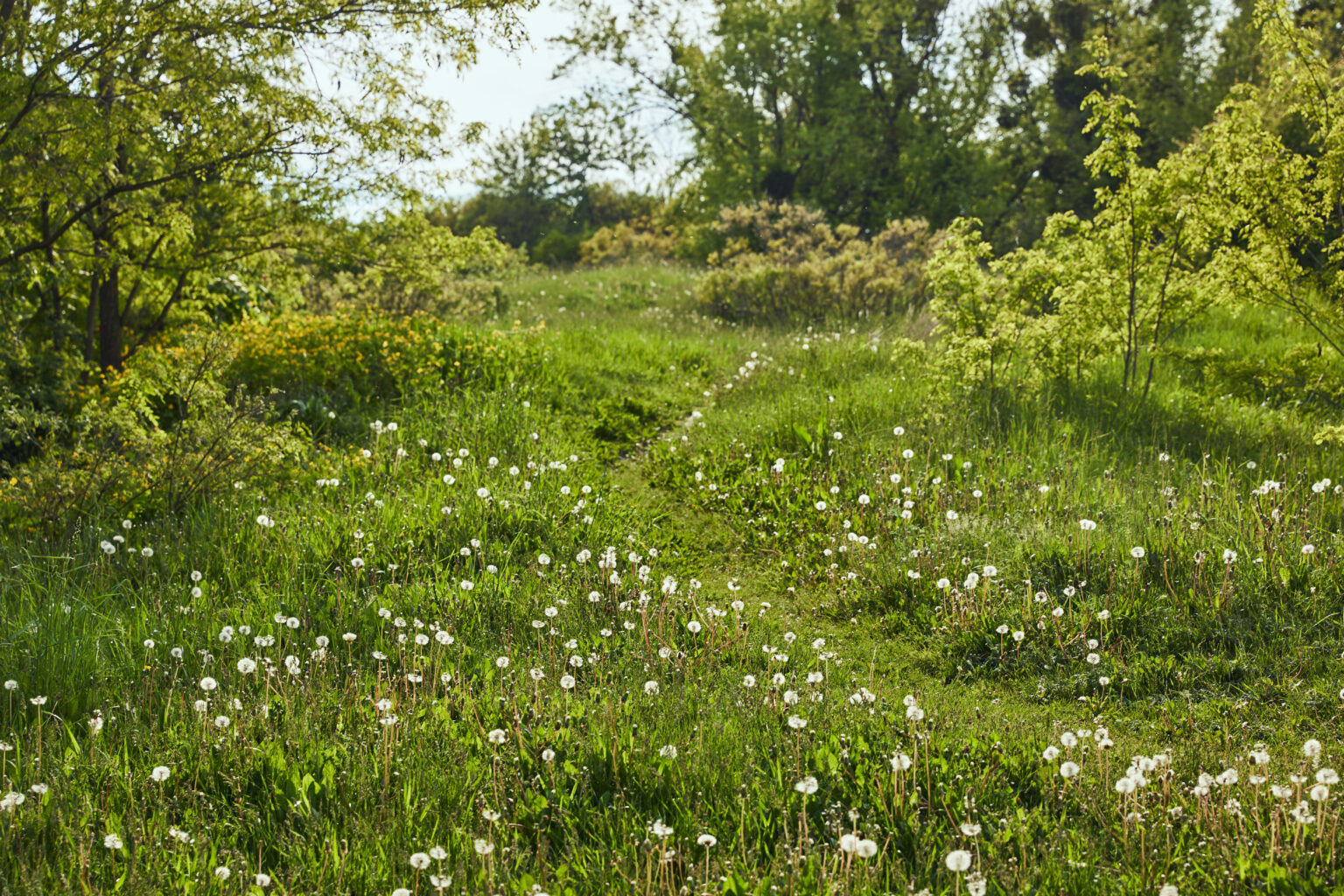 Natural Burial Grounds Cumbria - Natural Burial Grounds