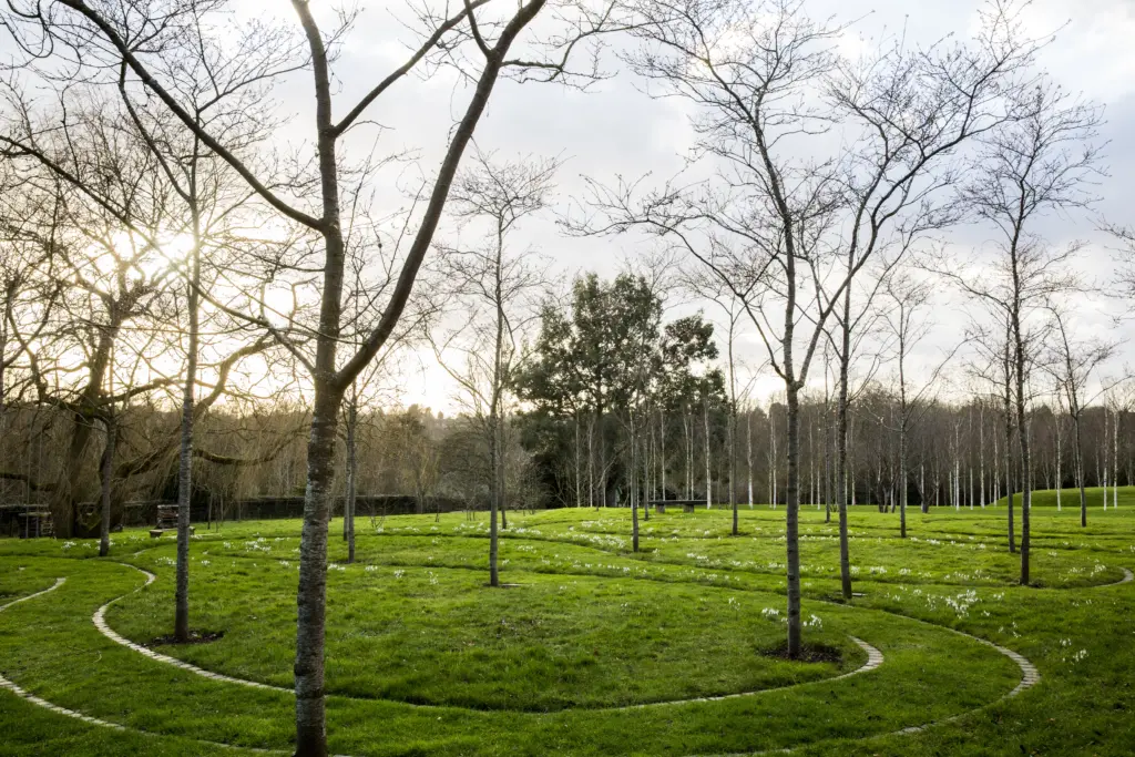 Opening a Natural Burial Ground: People, wildlife, & planet